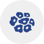 Yeast protein expression - ProteoGenix