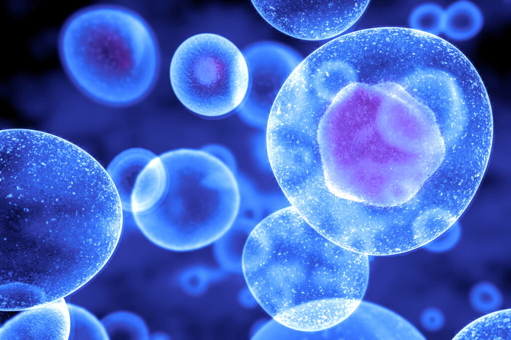 The 5 Pillars of Excellence in Stable Cell Line Development ...