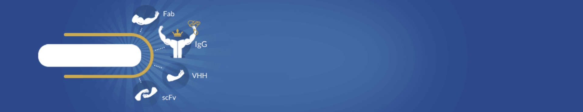 Phage Display Custom Services - ProteoGenix