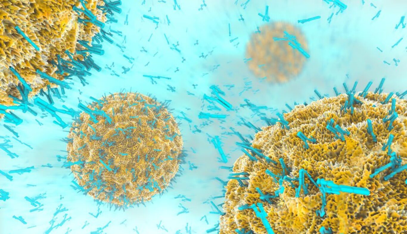 Custom Antibody Development & Production Service | ProteoGenix
