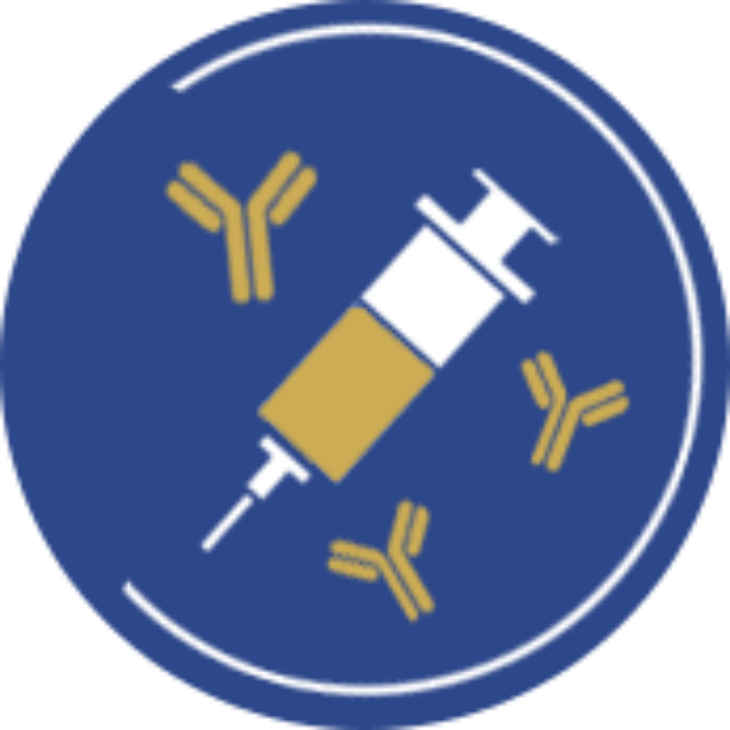 Antibody library generation for phage display - ProteoGenix US