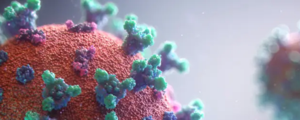 Next-Generation Antibody Discovery Enabled By NativeMP™ and Phage ...