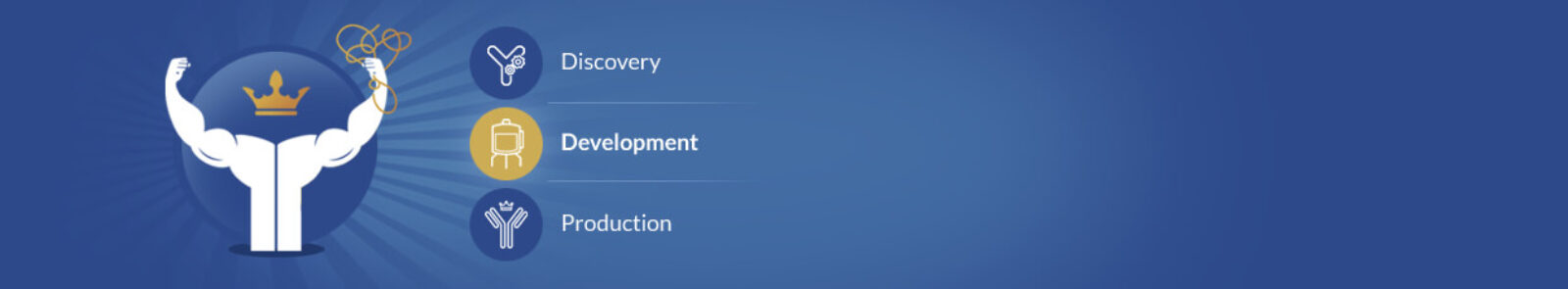 Custom monoclonal antibodies - ProteoGenix