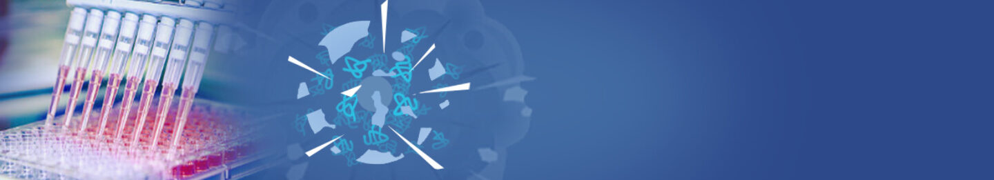 High throughput protein expression tests - ProteoGenix