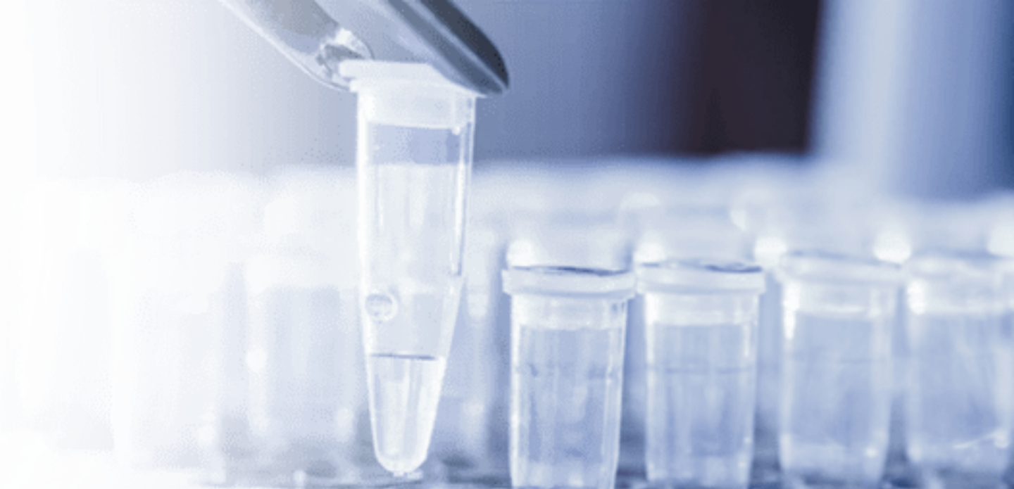 Custom peptide synthesis service – From 2.12$/AA - ProteoGenix