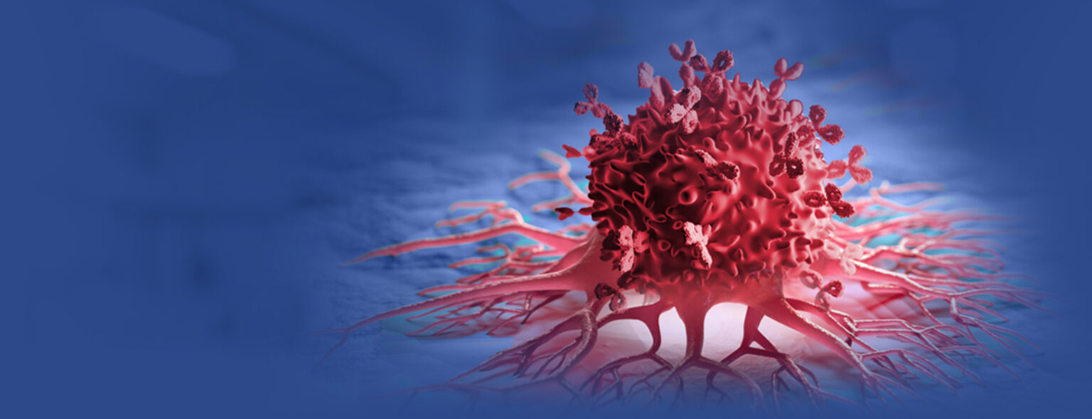 Custom Antibody Development & Production Service | ProteoGenix