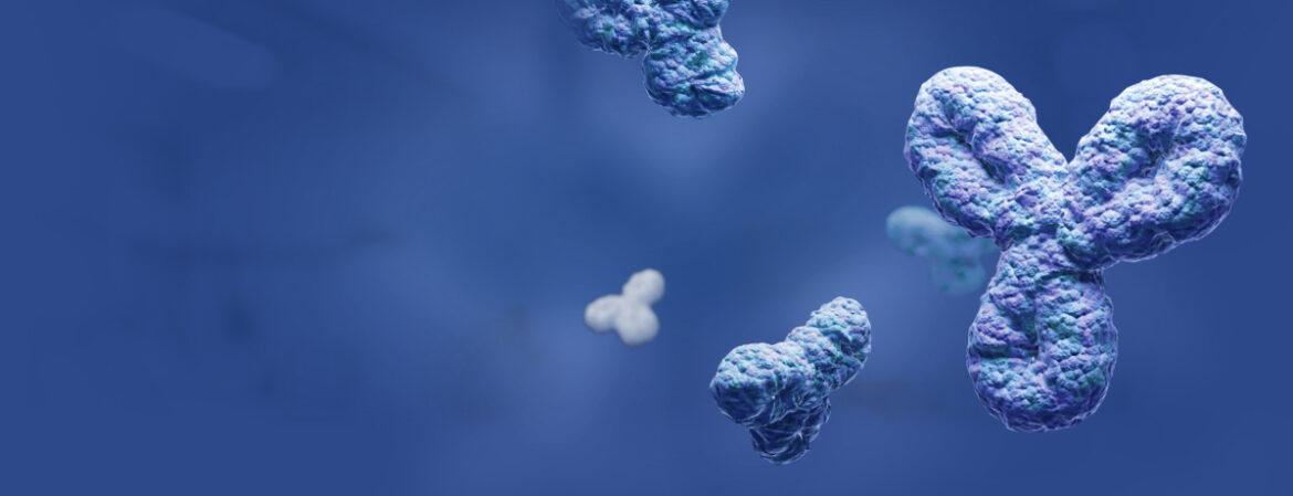 Custom Antibody Development & Production Service | ProteoGenix