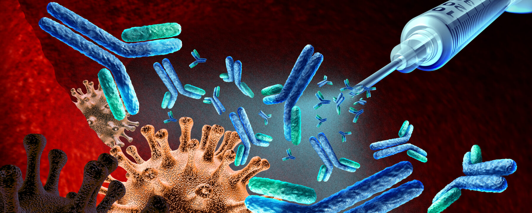 Single B Cell Sorting fo Antibody Discovery - ProteoGenix