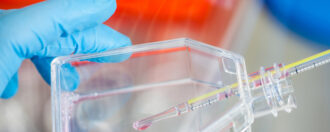 How to generate stable cell lines? - ProteoGenix US