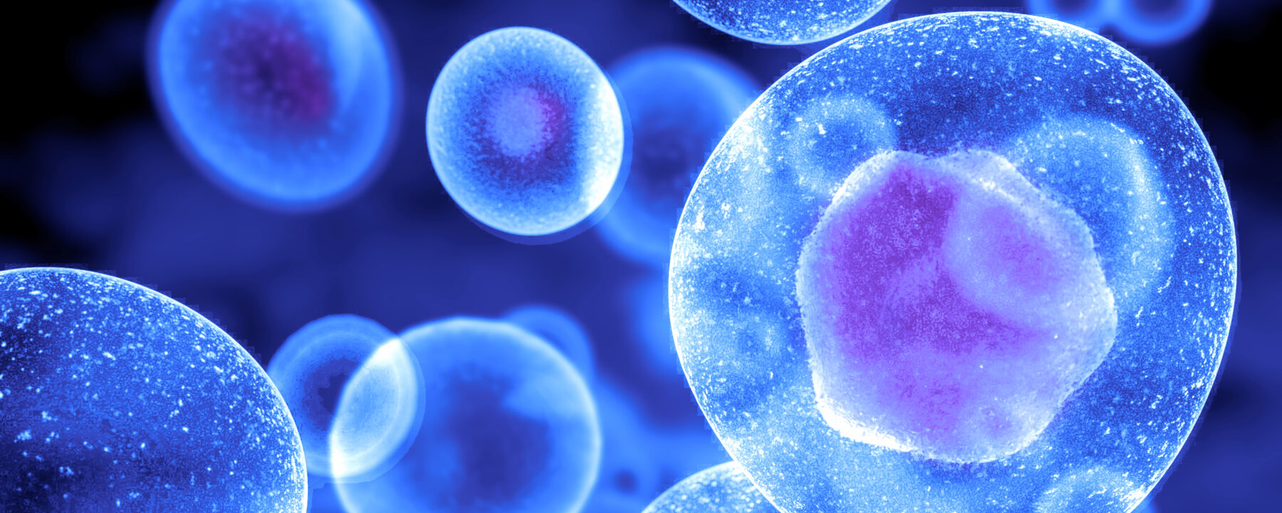 The 5 Pillars of Excellence in Stable Cell Line Development - ProteoGenix US