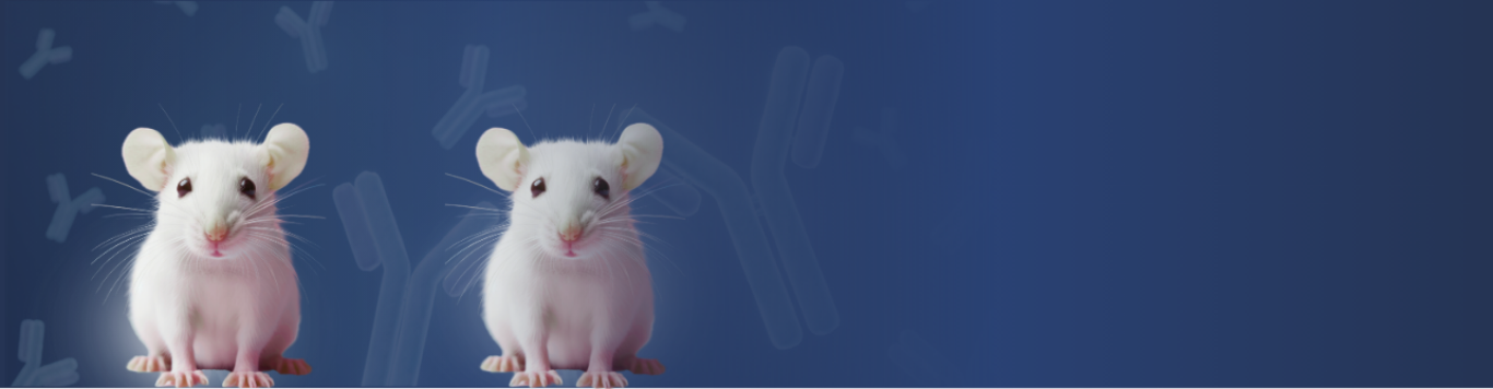 Humanized Mice Service - ProteoGenix US